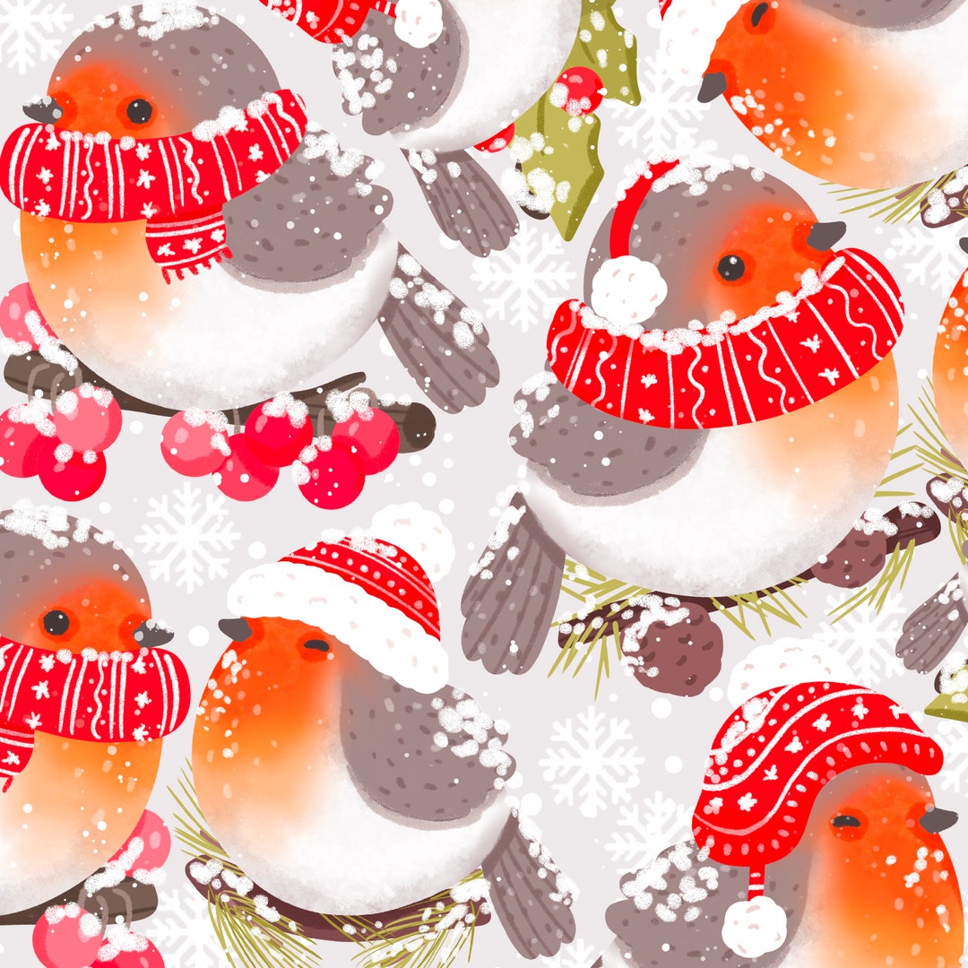 Cute Kawaii Printable Cozy Winter Robins Clipart / Commercial Use/ PNG ...