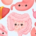 Cute Kawaii Printable Human Organs Clipart Set / Commercial Use/ PNG - Etsy