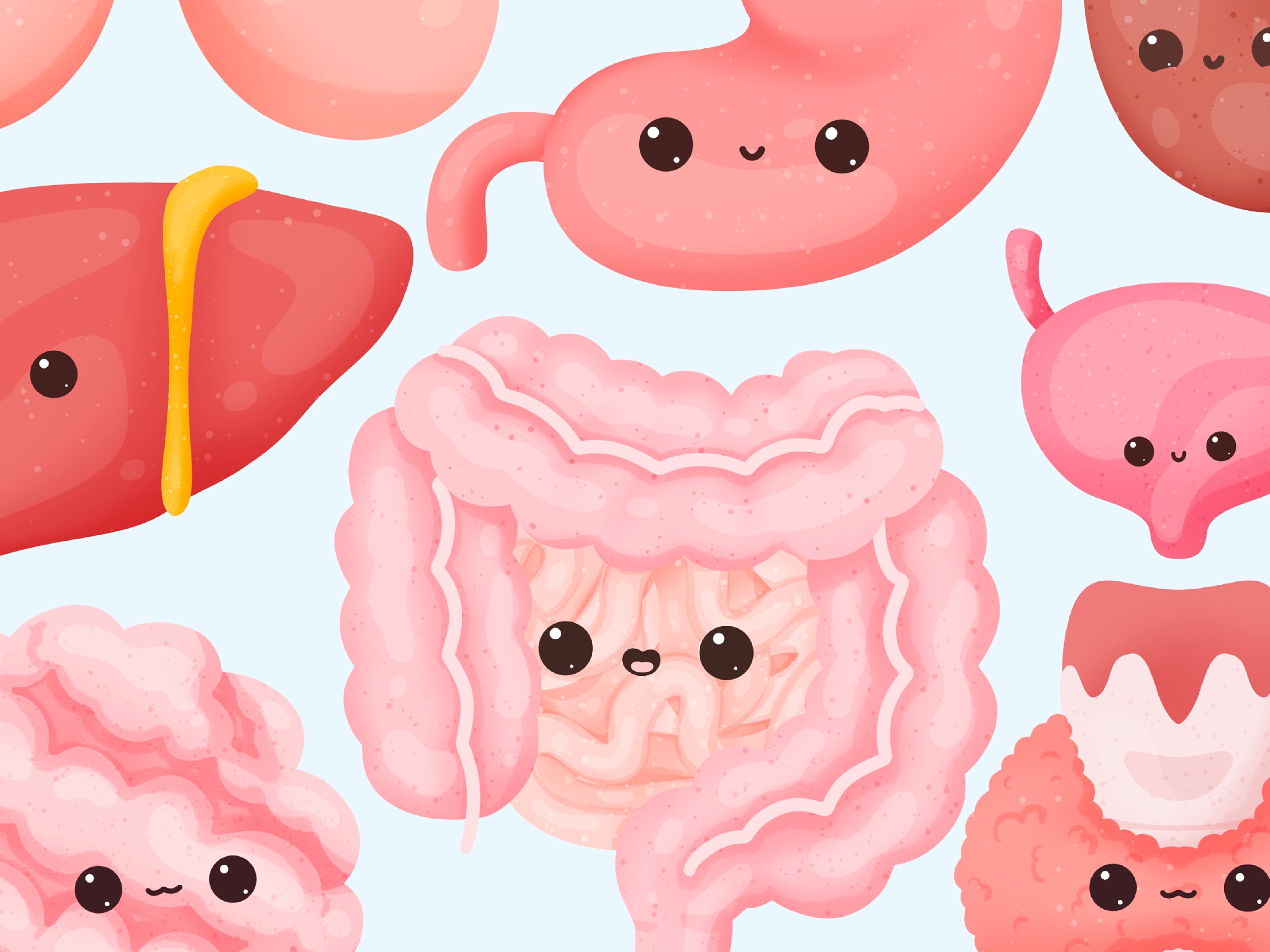 Cute Kawaii Printable Human Organs Clipart Set / Commercial - Etsy