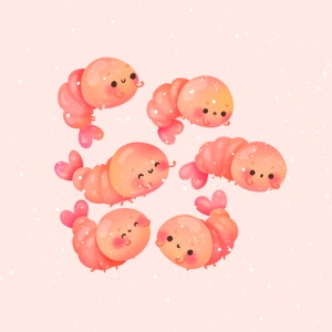 Cute Kawaii Printable Shrimp Clipart / Commercial Use/ PNG - Etsy