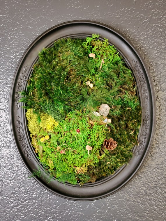 Tiny Mushroom and Moss Art - Etsy