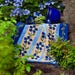 Daisy Vines Quilt Pattern (PDF Digital Pattern) - Etsy