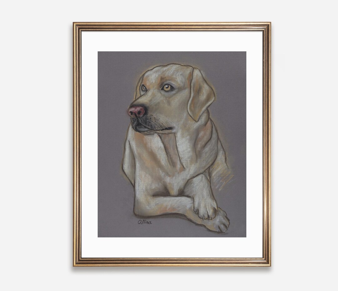 Labrador Art Print unframed Yellow Lab Drawing Wall Decor - Etsy