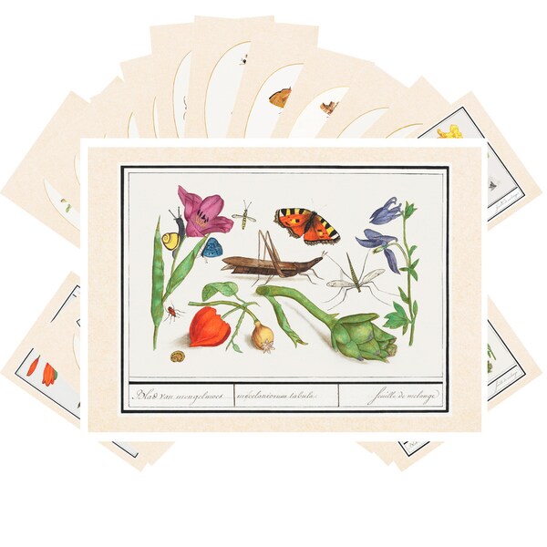 Victorian Postcards - Etsy