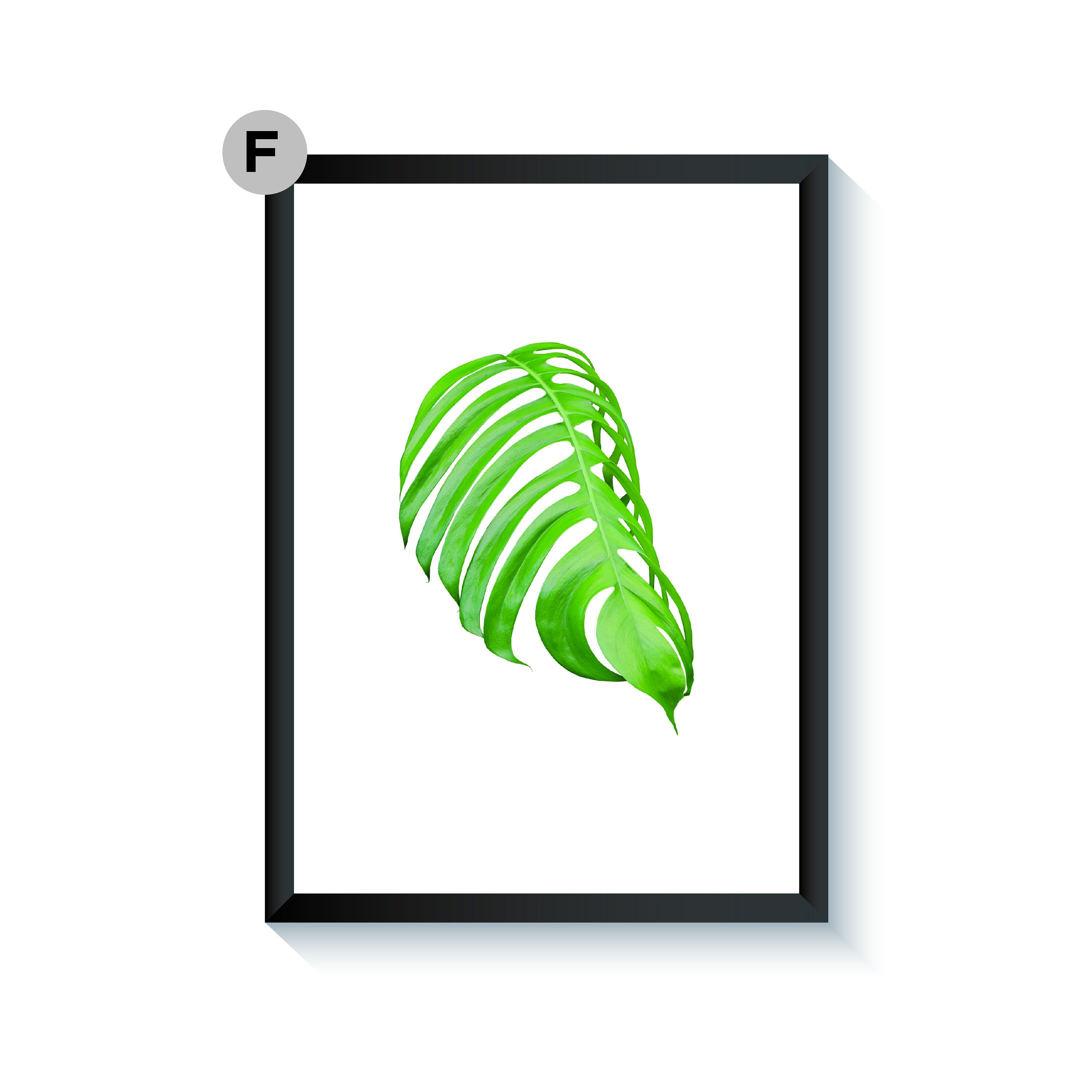 Leaf Botanical Prints Botany Print Set of Prints Nature | Etsy