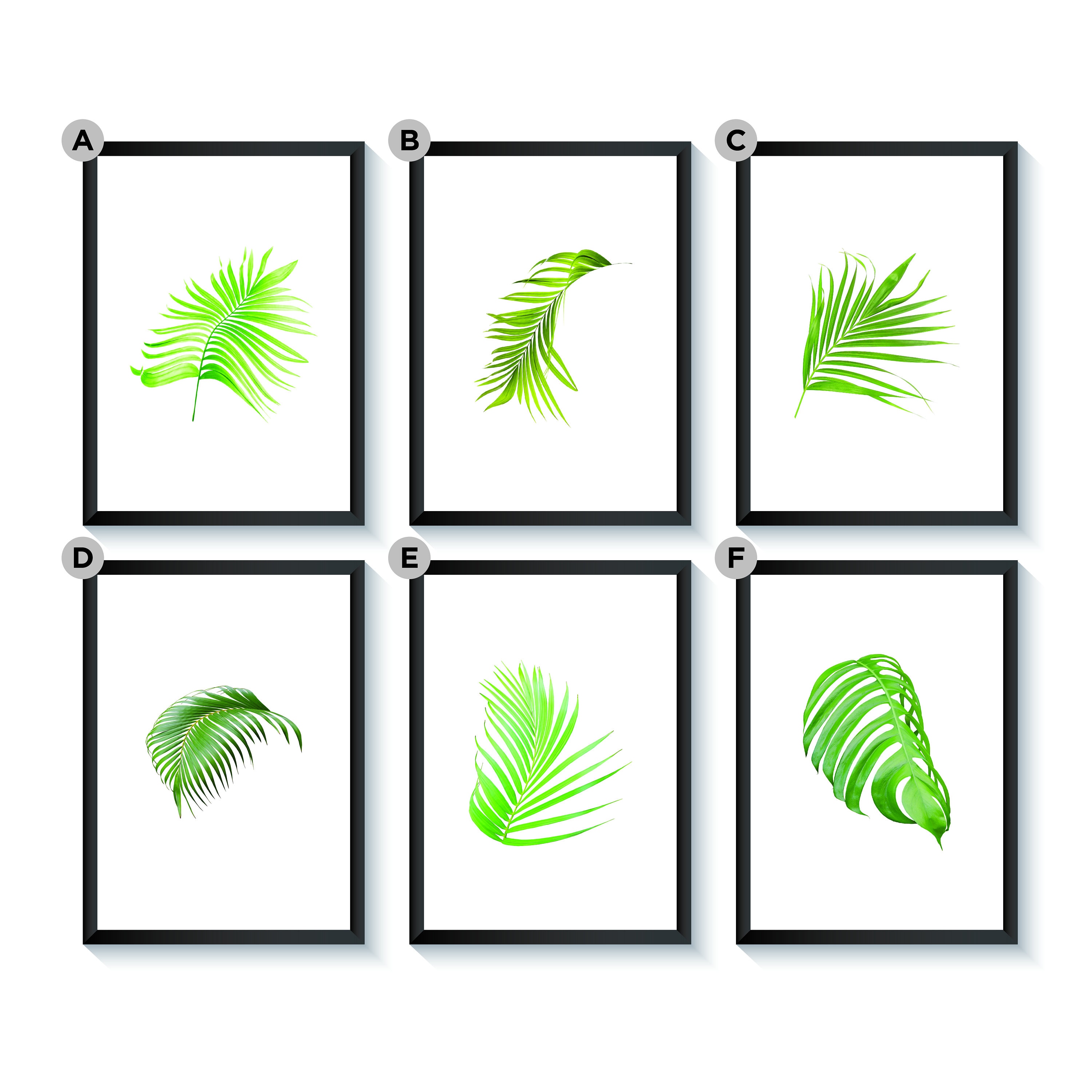 Leaf Botanical Prints Botany Print Set of Prints Nature | Etsy