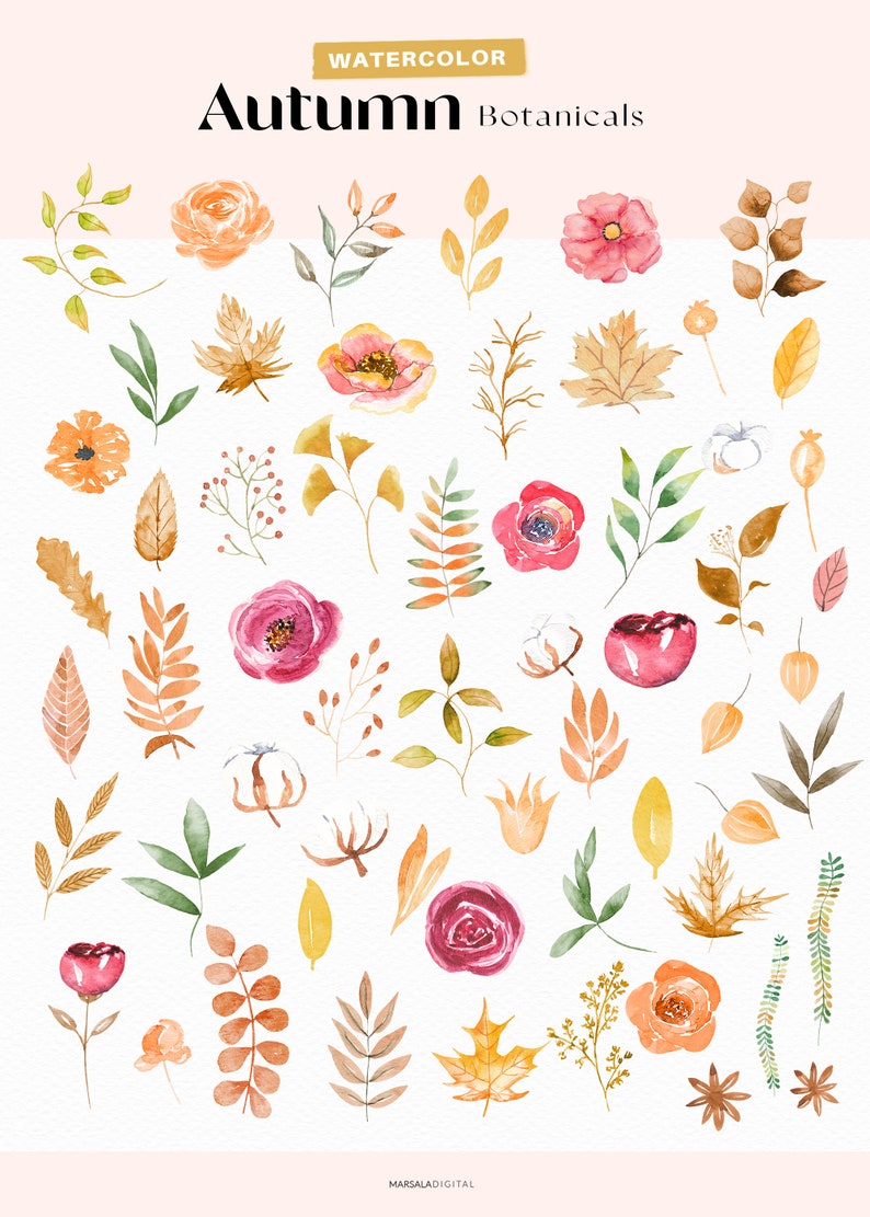 Autumn Watercolor Floral Clipart Autumn Flowers Leaves - Etsy