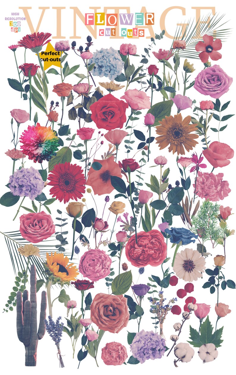 Vintage Collage Kit Collage Cut-outs Collage Creator DIY - Etsy