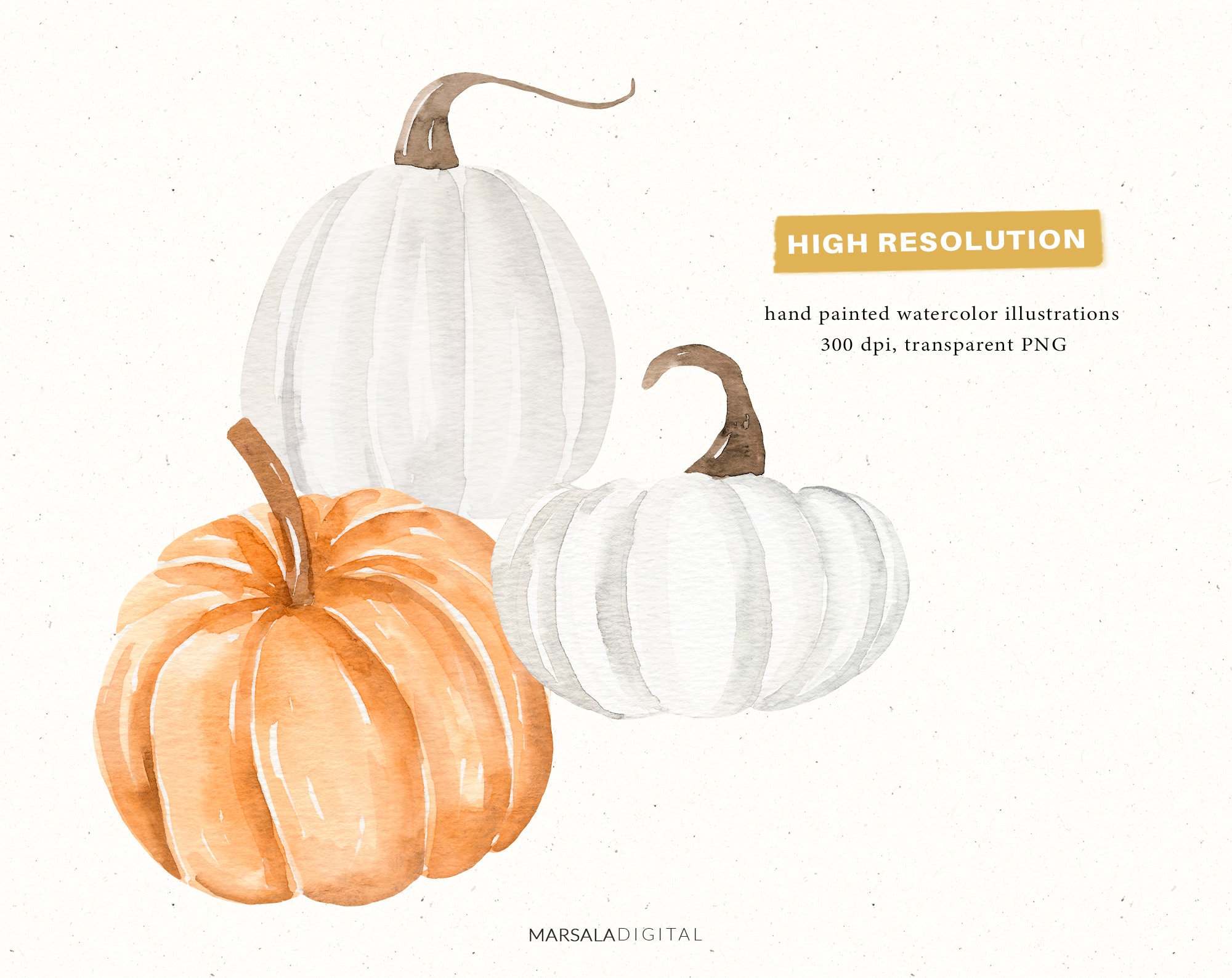 Watercolor Pumpkin Clipart Autumn Pumpkins Pumpkin Clip Art | Etsy