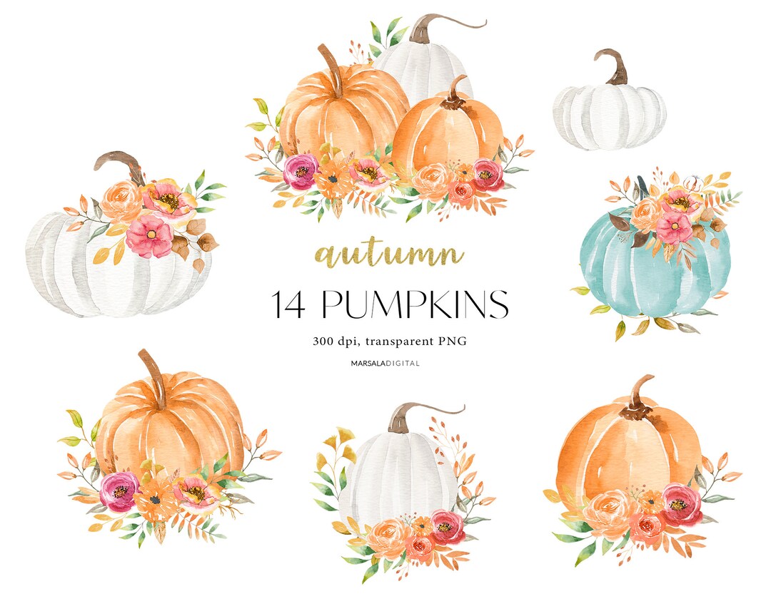 Watercolor Pumpkin Clipart, Autumn Pumpkins, Floral Pumpkin Clip Art ...