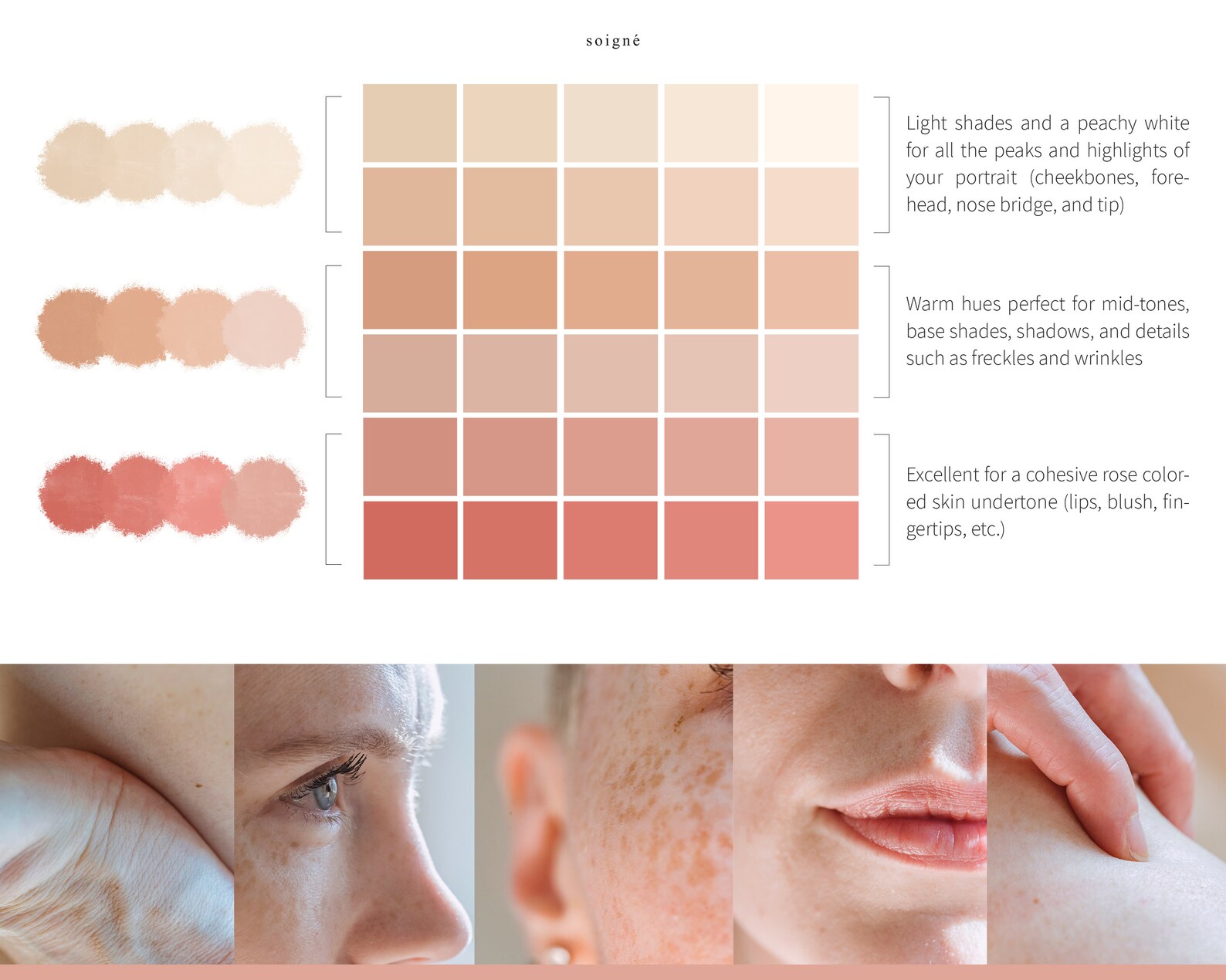 Realistic Light Skin Tones Color Palettes for Procreate - Etsy