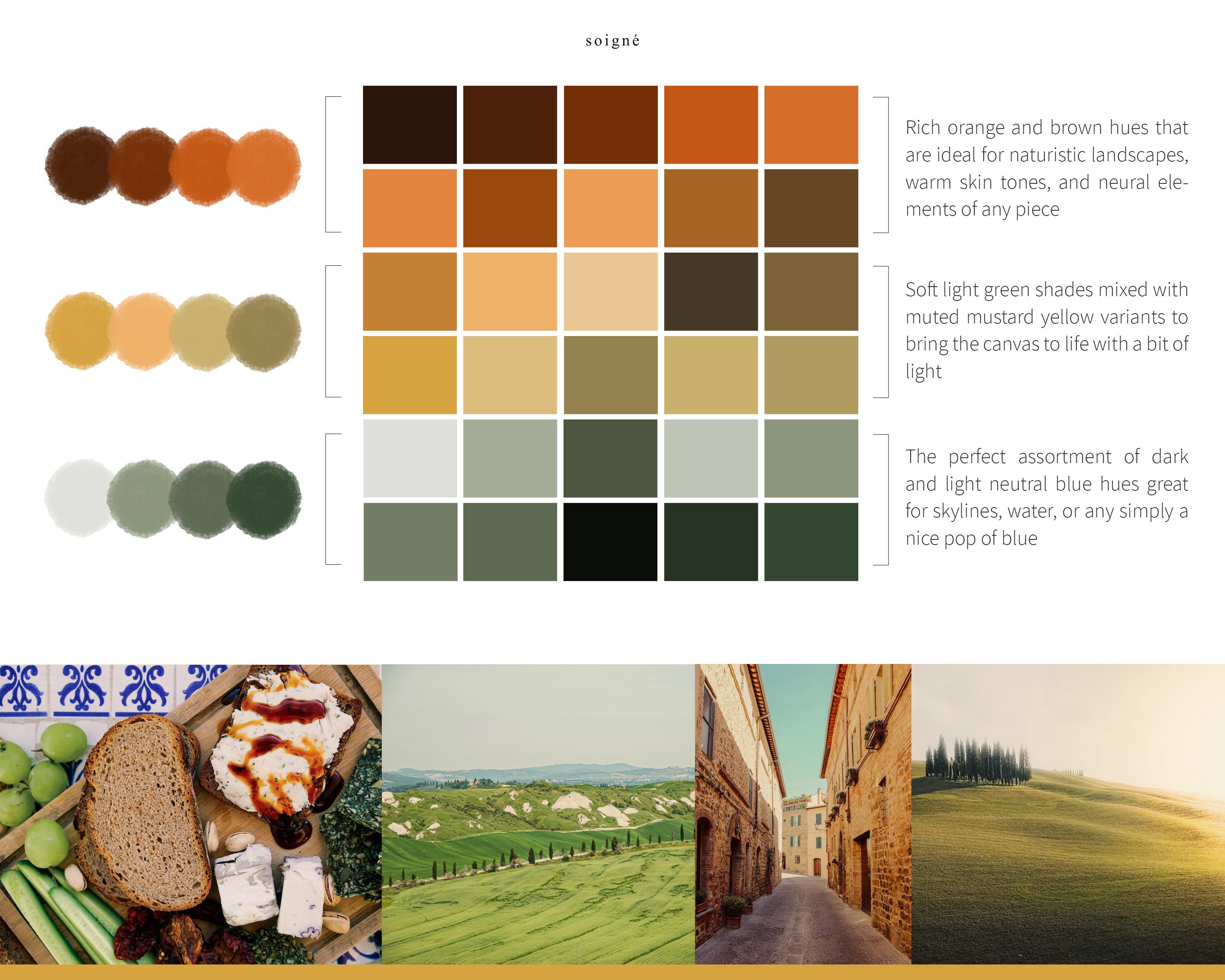 Warm Landscape Color Palette for Procreate - Etsy