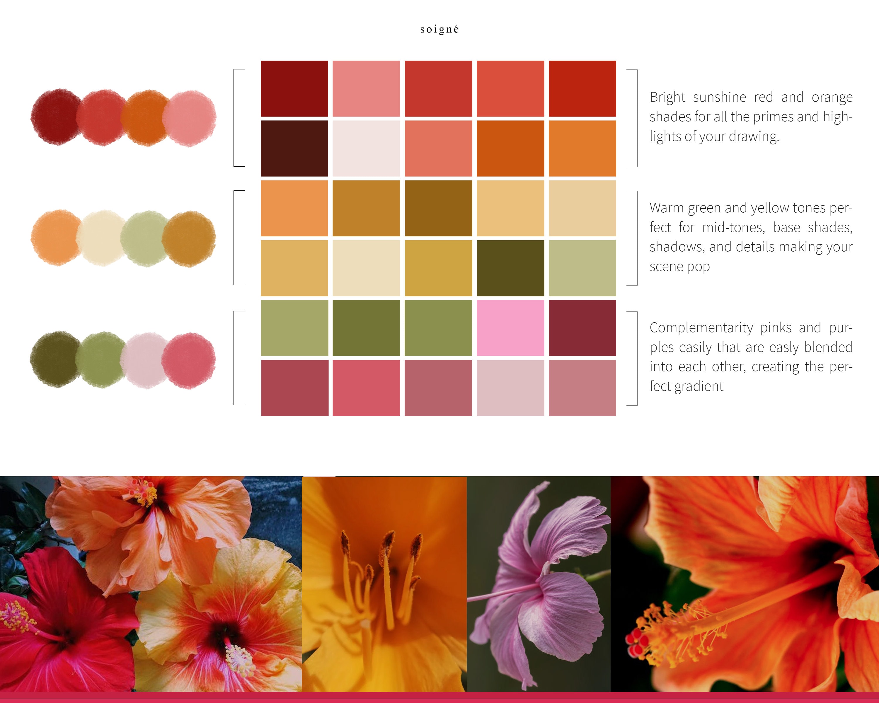 Vibrant Hibiscus Flower Palette for Procreate - Etsy