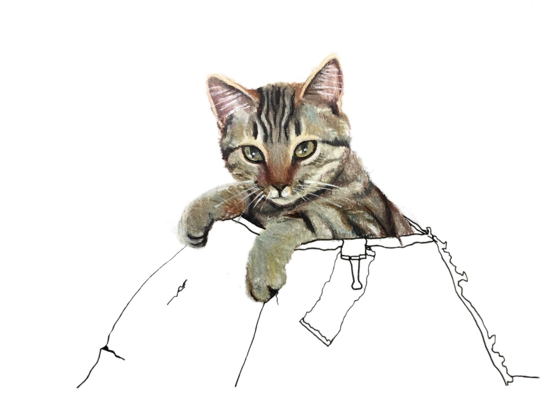 Postcard: Peekaboo Cat - Etsy