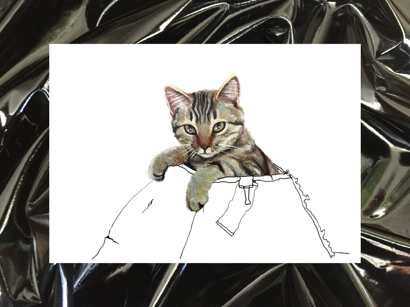 Postcard: Peekaboo Cat - Etsy