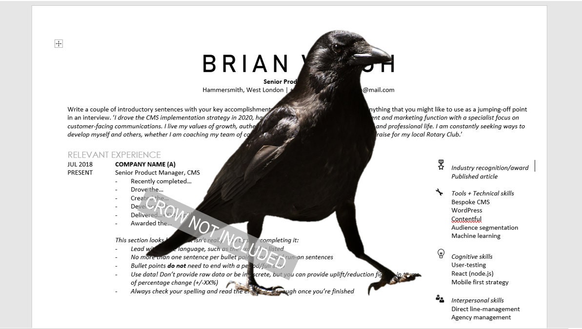 CV Resume Template for Young Professionals - Etsy