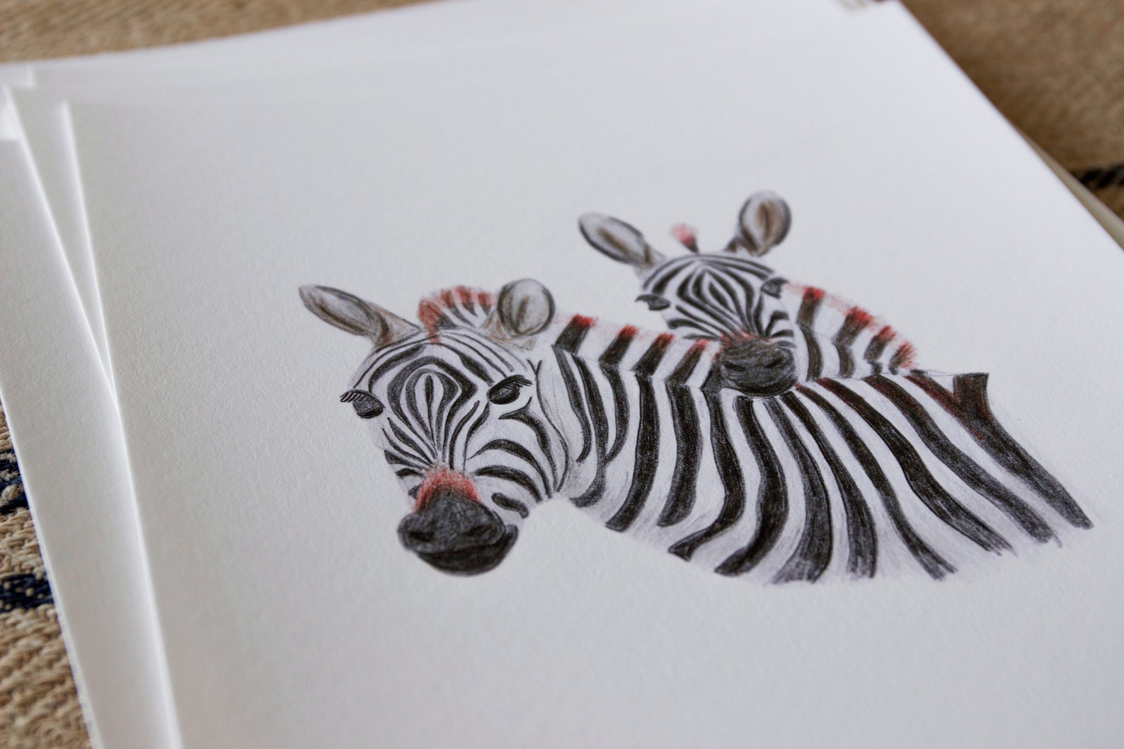 Zebra, Fine Art Print of a Colored Pencil Drawing by Kat Dicconson - Etsy