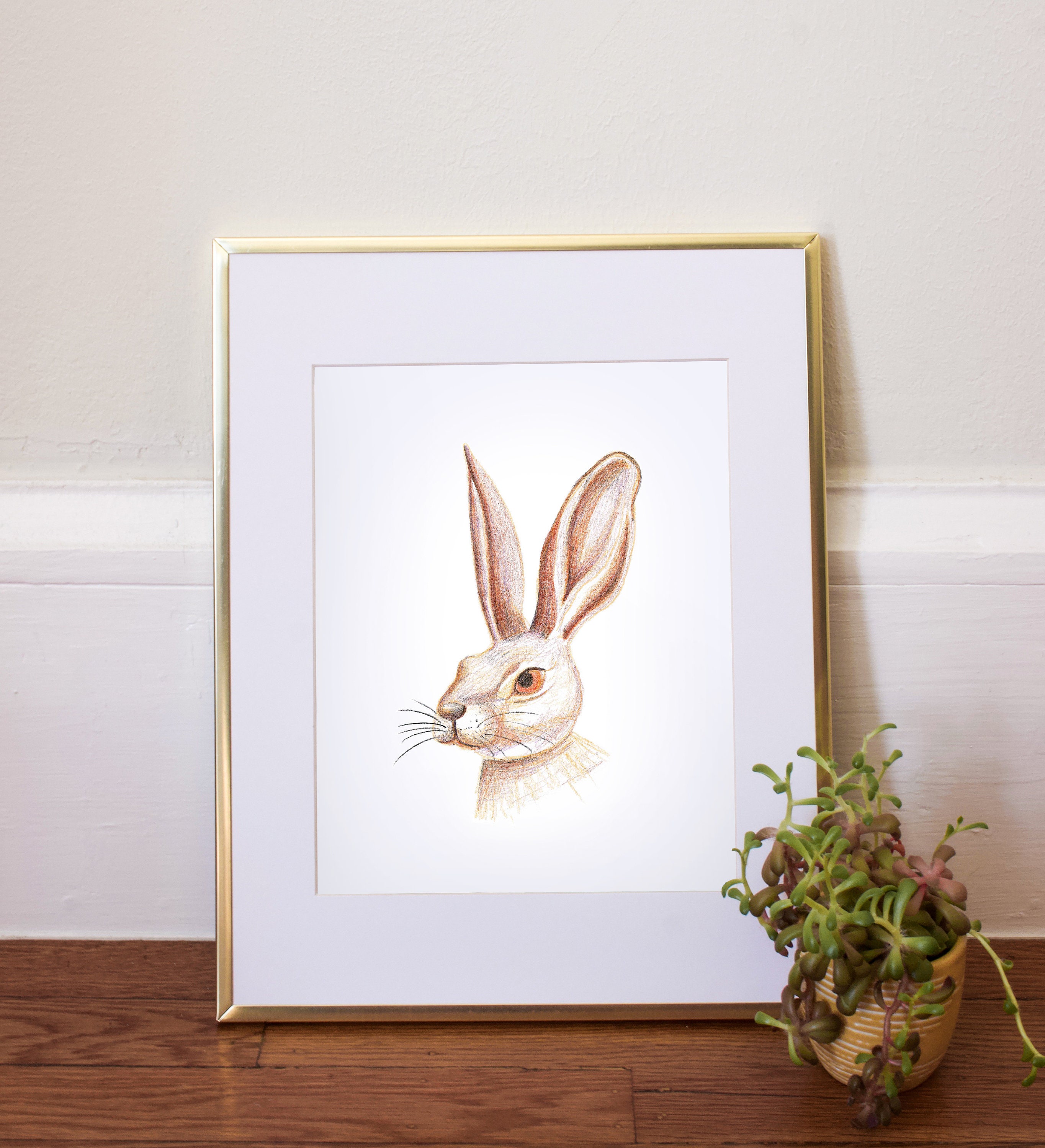 Rabbit Fine Art Print of a Colored Pencil Drawing by Kat - Etsy
