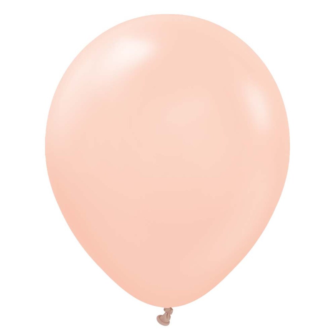 12 Inch Kalisan Macaron Salmon Latex Balloons - Party Supplies ...