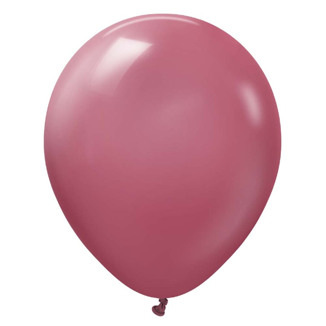 12 Inch Kalisan Retro Wild Berry Latex Balloons 100 Pack Party Supplies ...