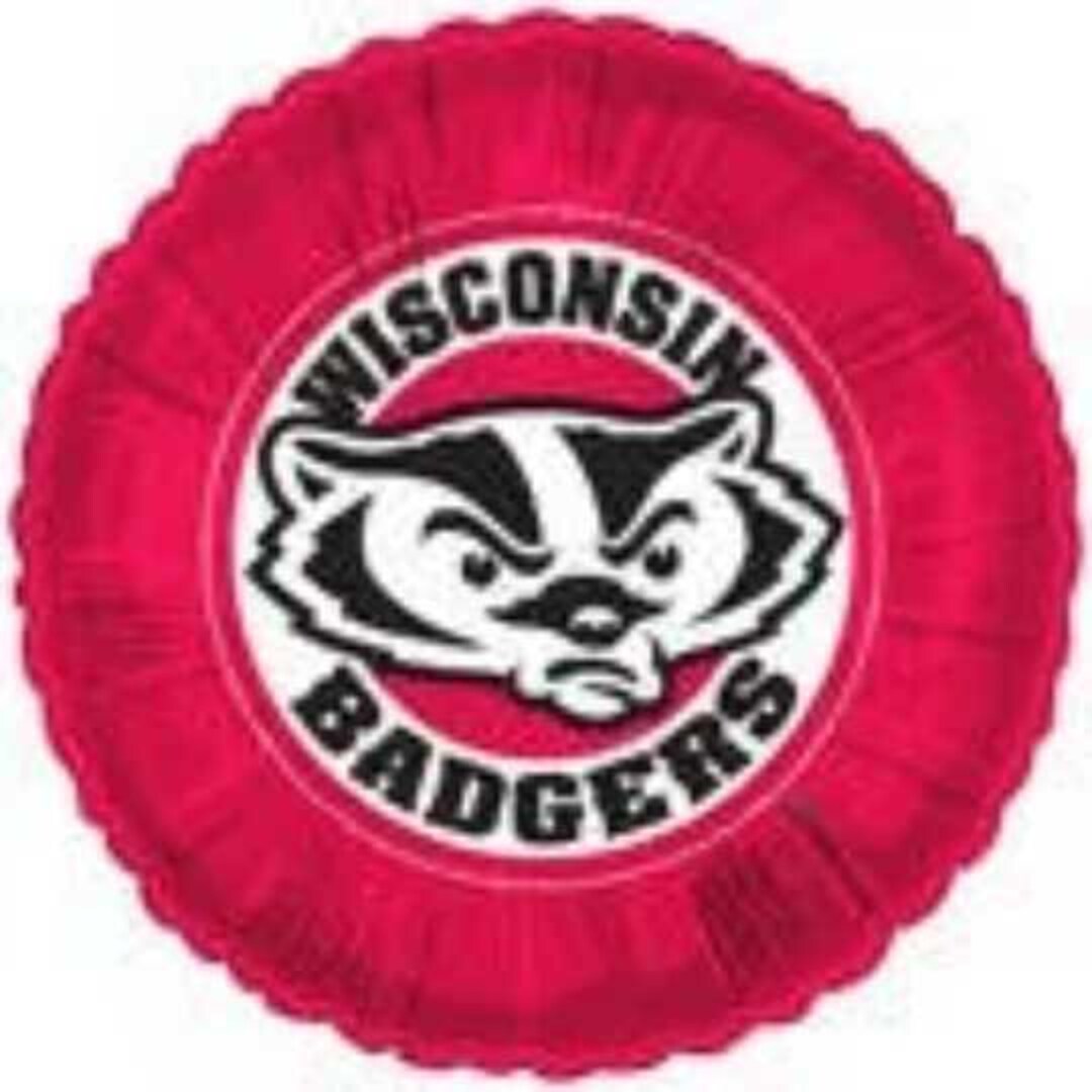 18 WISCONSIN BADGERS Balloon Party Supplies Decorations Foil Mylar ...