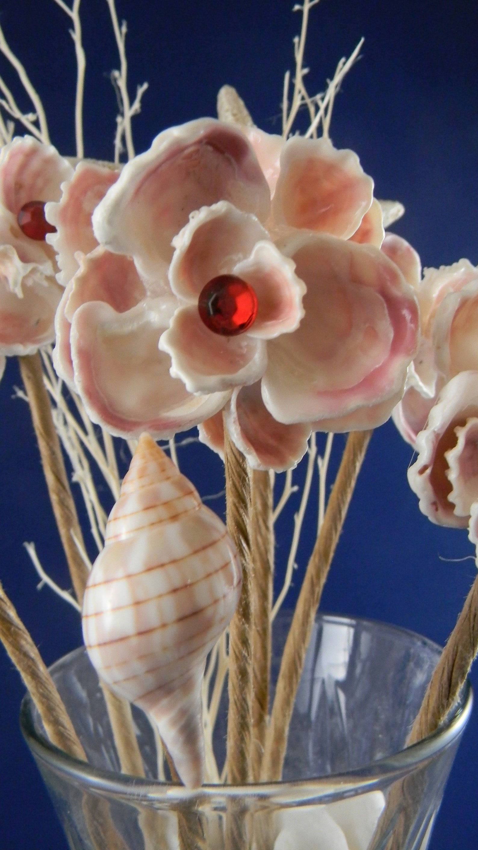 Spiny Jewel Box Shell Flowers - Etsy