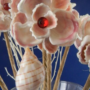 Spiny Jewel Box Shell Flowers - Etsy