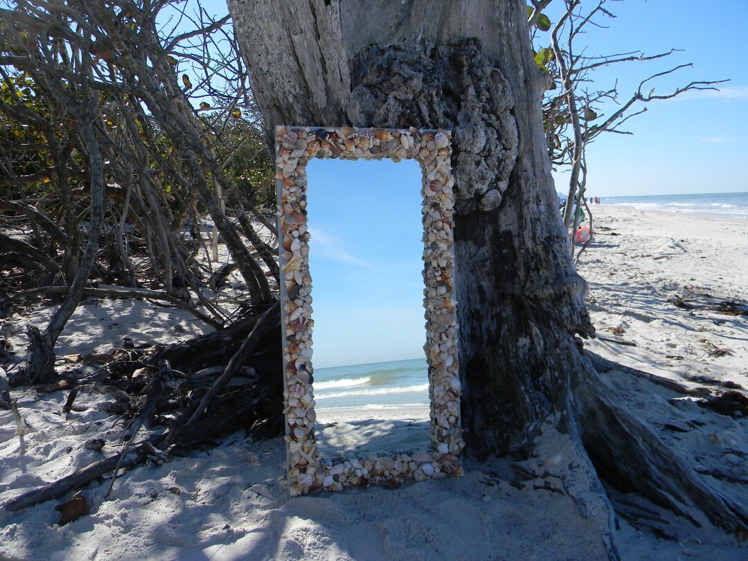 Custom Made Seashell Mirror - Etsy