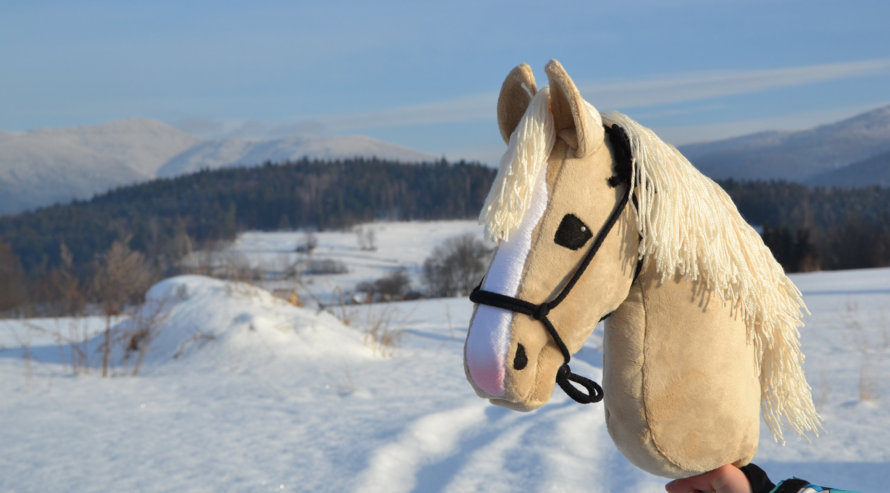 HOBBY PFERD HAFLINGER Stock | Etsy