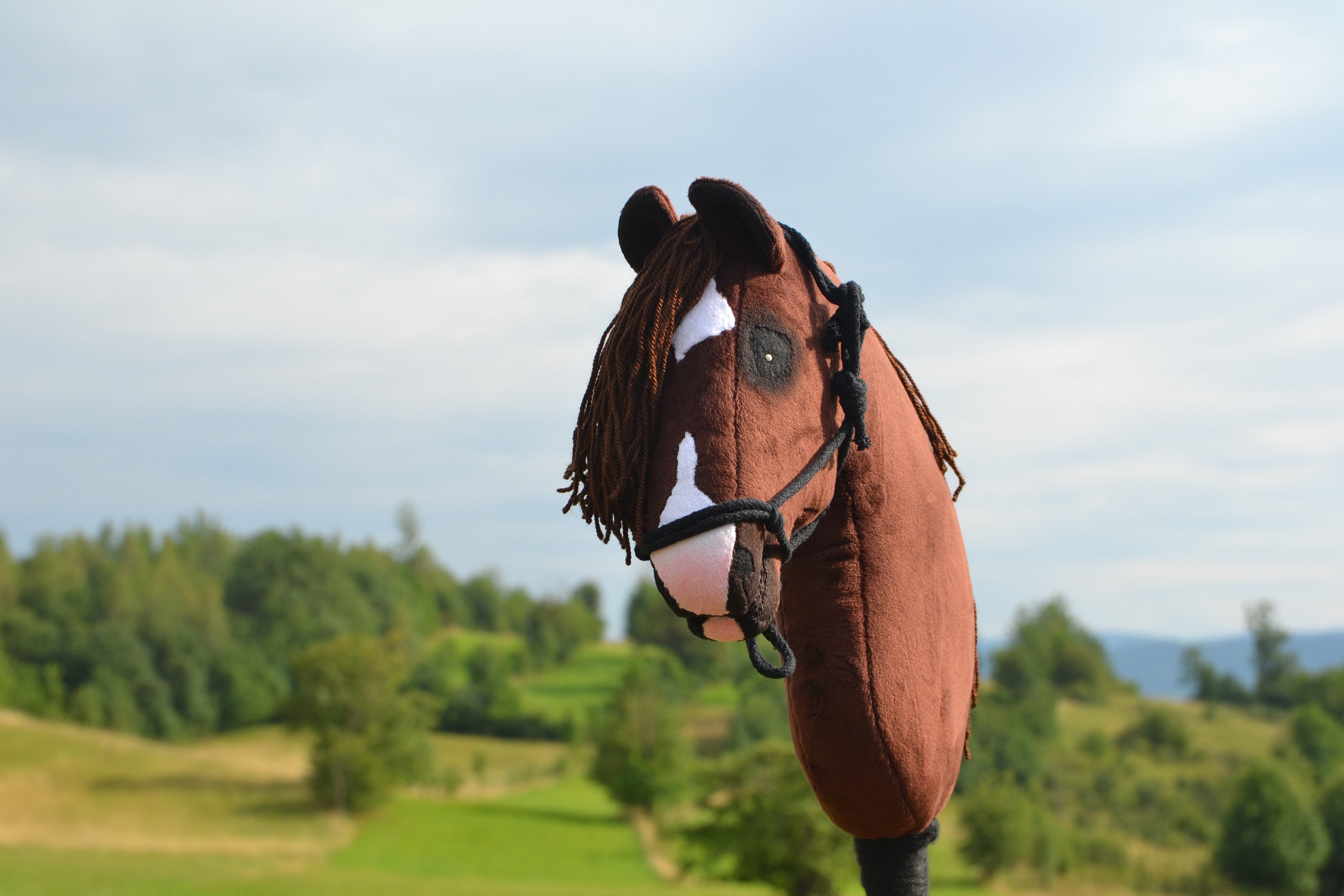 HOBBY HORSE +stick - Etsy