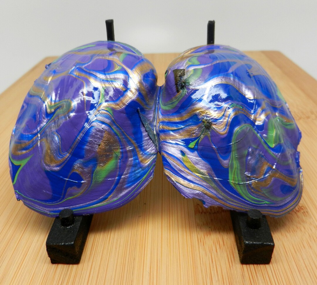 Abstract Painted Fresh Water River Lake Mussel Shell on Wood - Etsy