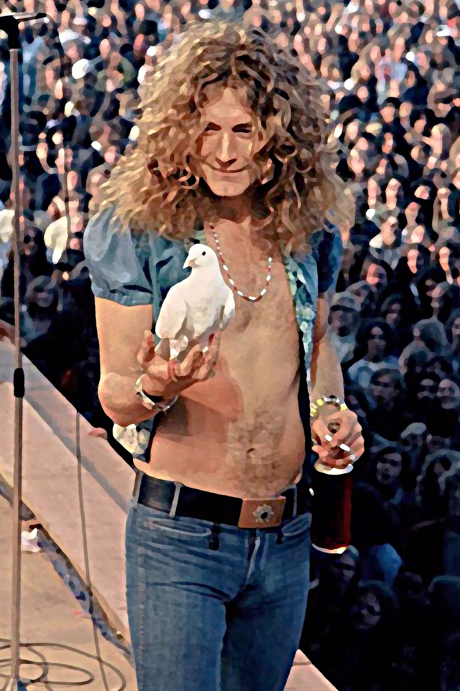 Robert Plant with a Dove Art Print Led Zeppelin Poster Rock | Etsy