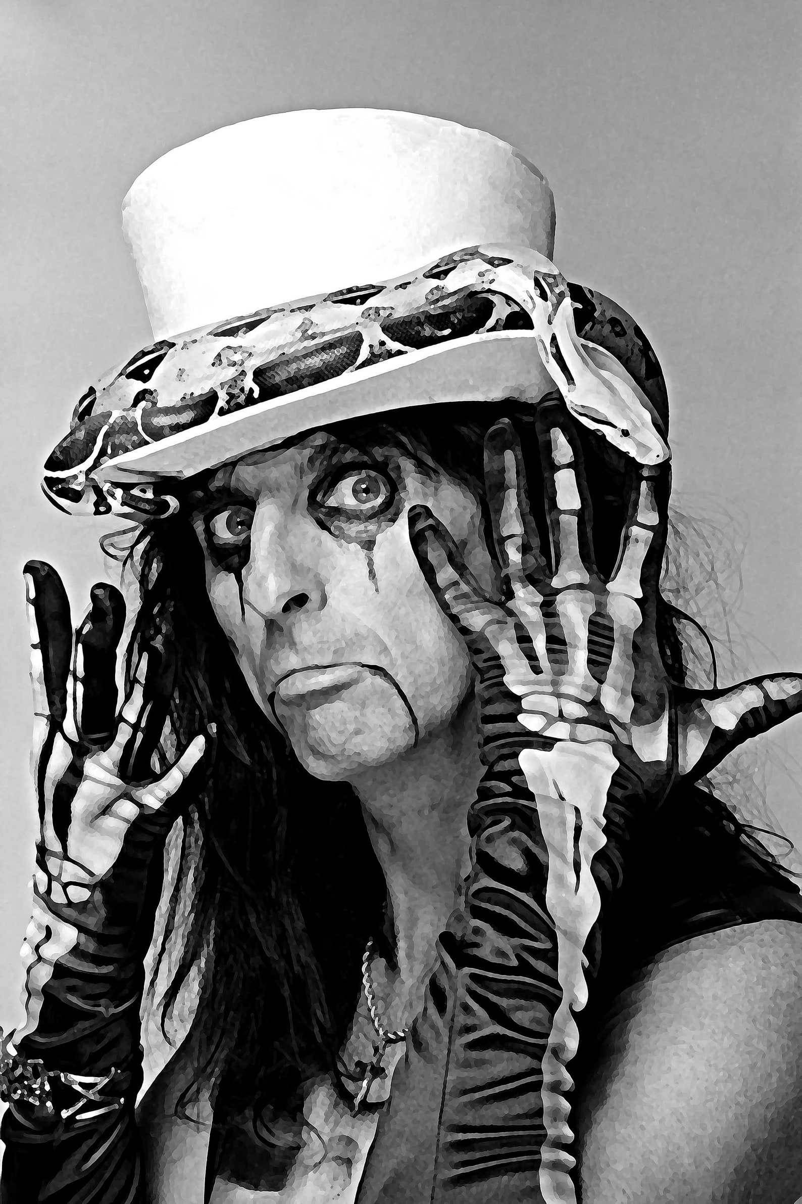 Alice Cooper With Python 1987 Art Poster Hard Rock Shock Rock - Etsy