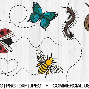 Insects Bugs and Lizard Svg Bundle, Pest Control Svg, Dxf, Png, Jpg ...