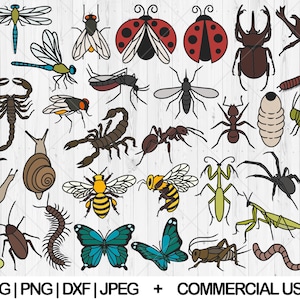 Insects Bugs and Lizard Svg Bundle, Pest Control Svg, Dxf, Png, Jpg ...