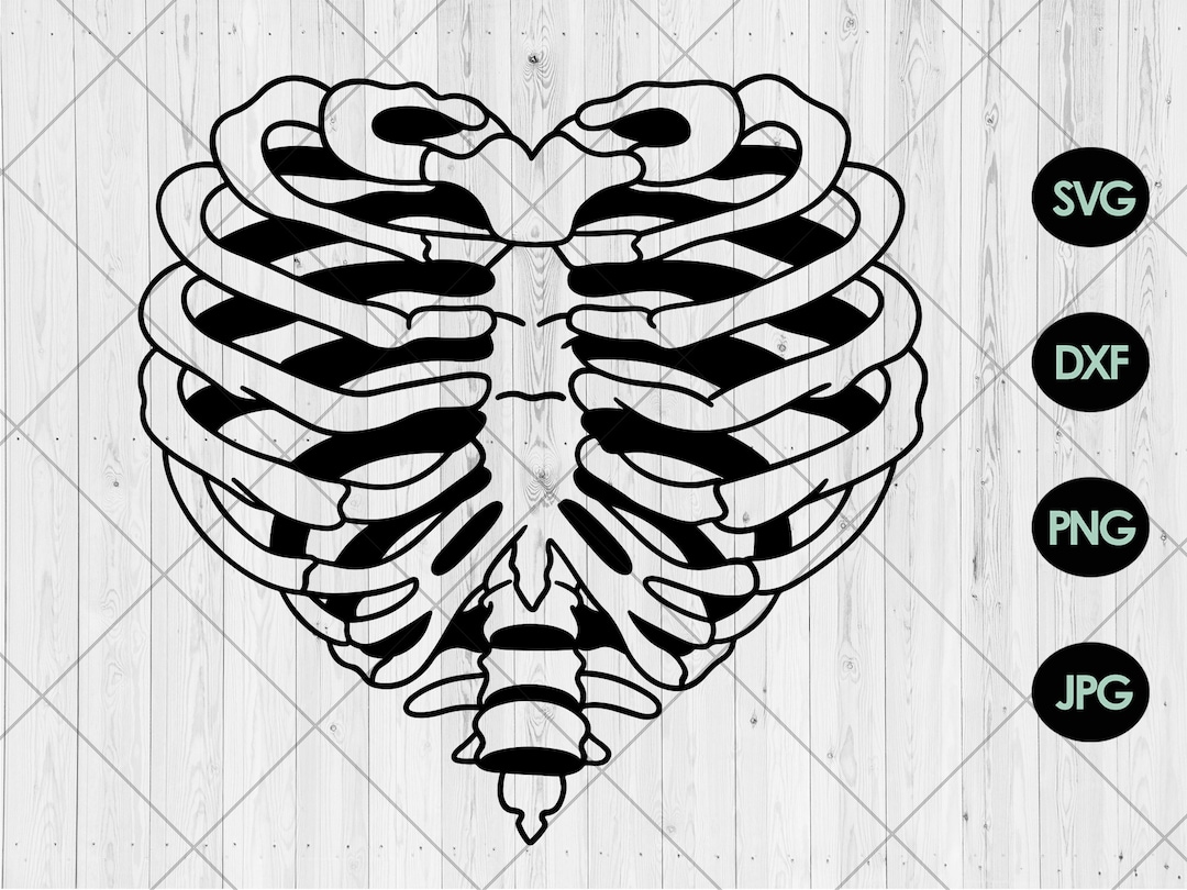 Skeleton Rib Heart Svg Bundle, Rib Cage Heart Svg, Dxf, Png, Jpg ...