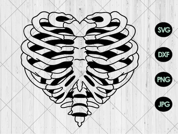 Rib Cage Heart Drawing Clipart