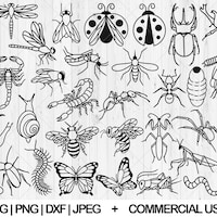 Bug SVG Bundle, Insect SVG Bundle, Bugs SVG, Butterfly Svg, Bee Svg ...