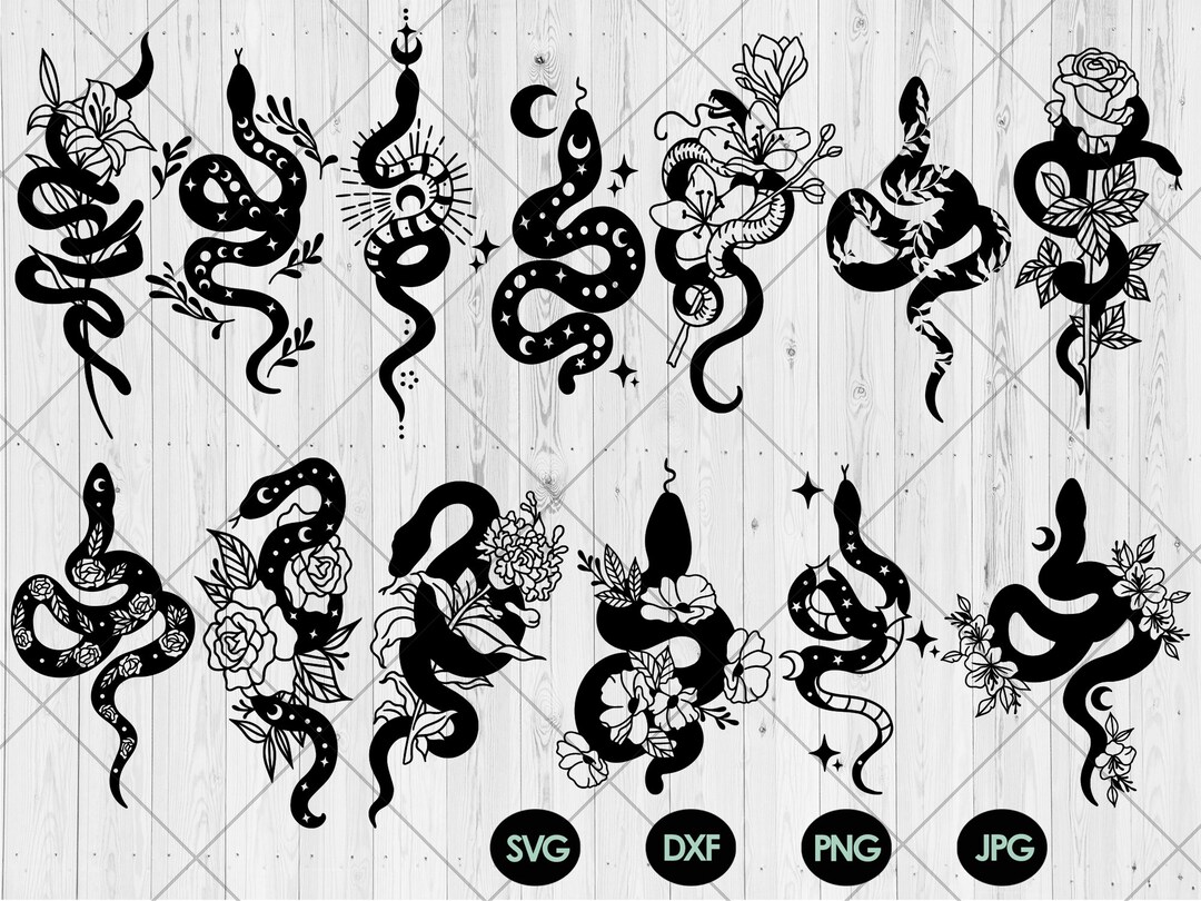 14 Snake Svg Bundle, Floral Snake Svg, Png, Dxf, Jpg, Celestial Snake ...