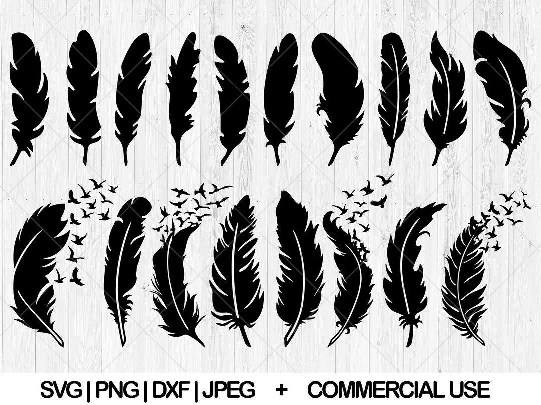 Feather Svg Bundle, Feather Birds Svg, Dxf, Png, Jpg, Feathers ...