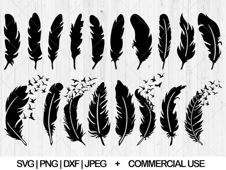 Feather Svg Bundle Feather Birds Svg Dxf Png Jpg Feathers - Etsy