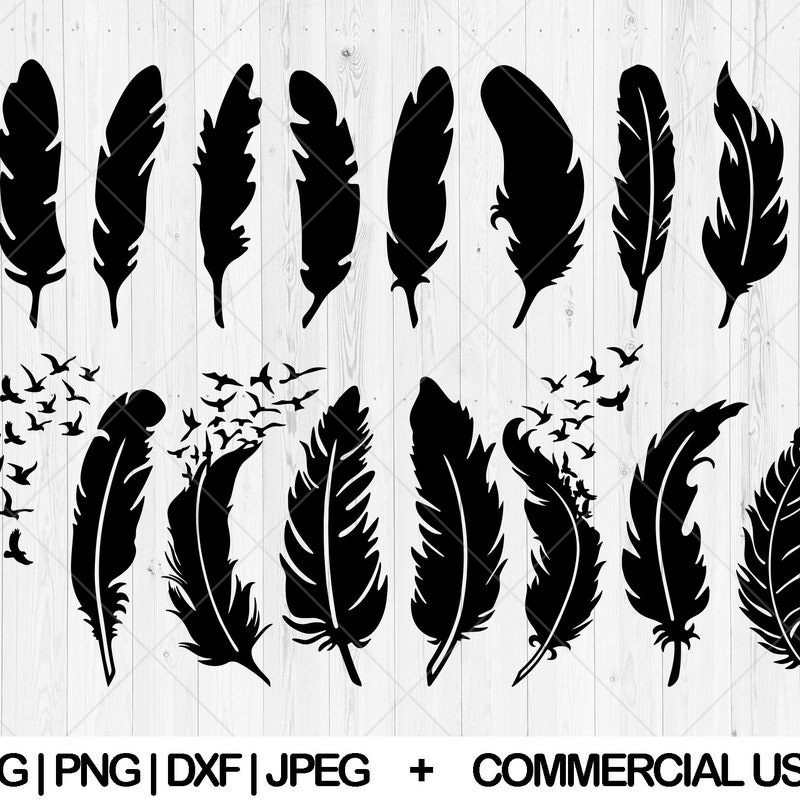 Feather Bird Svg - Etsy