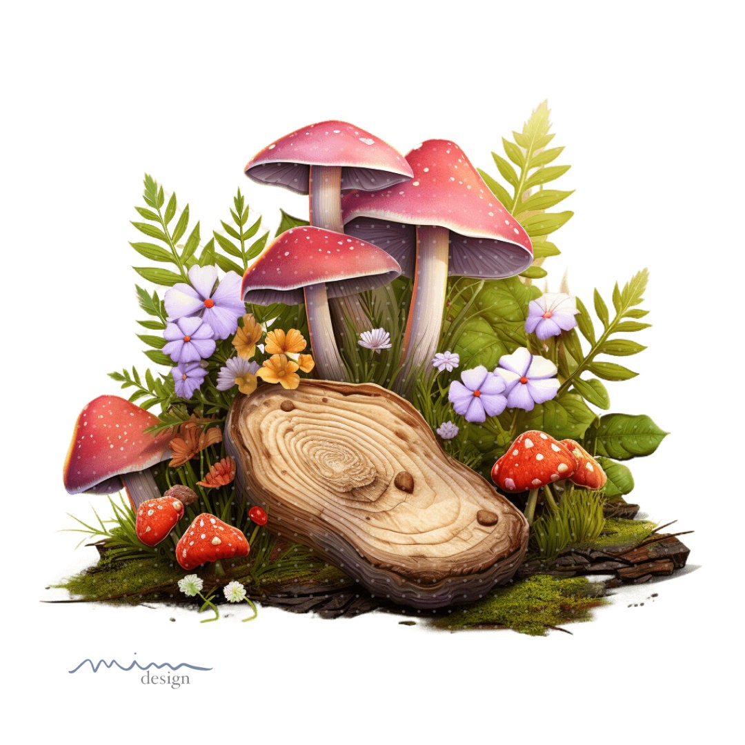 8 Whimsy Woods Clip Art: High-resolution, Commercial-use, Woodland ...