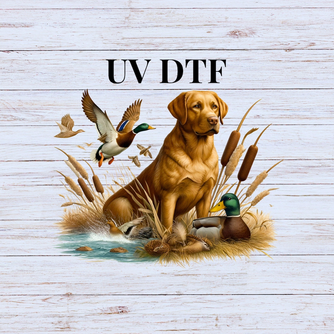 UV DTF Sticker Print. Labrador Dog Hunting for Ducks Decal, Tumbler ...