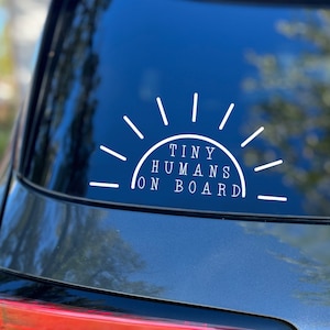 Plant Air Freshener, Plant Car Vent Clip, Plant Car Accessories, Car ...