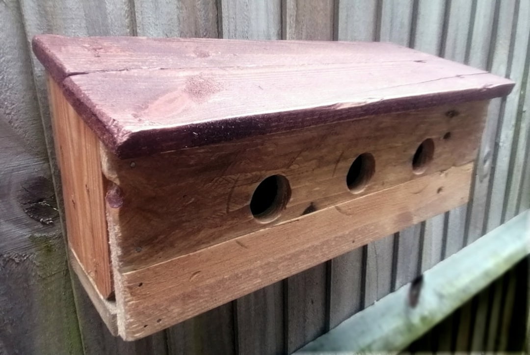 Sparrow Colony Bird Box is Made From Recycled Wood. - Etsy