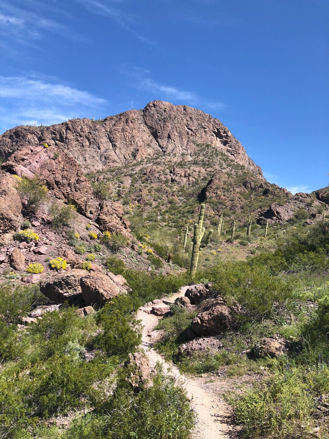 Beautiful Esperero Trail Sabino Canyon - Etsy