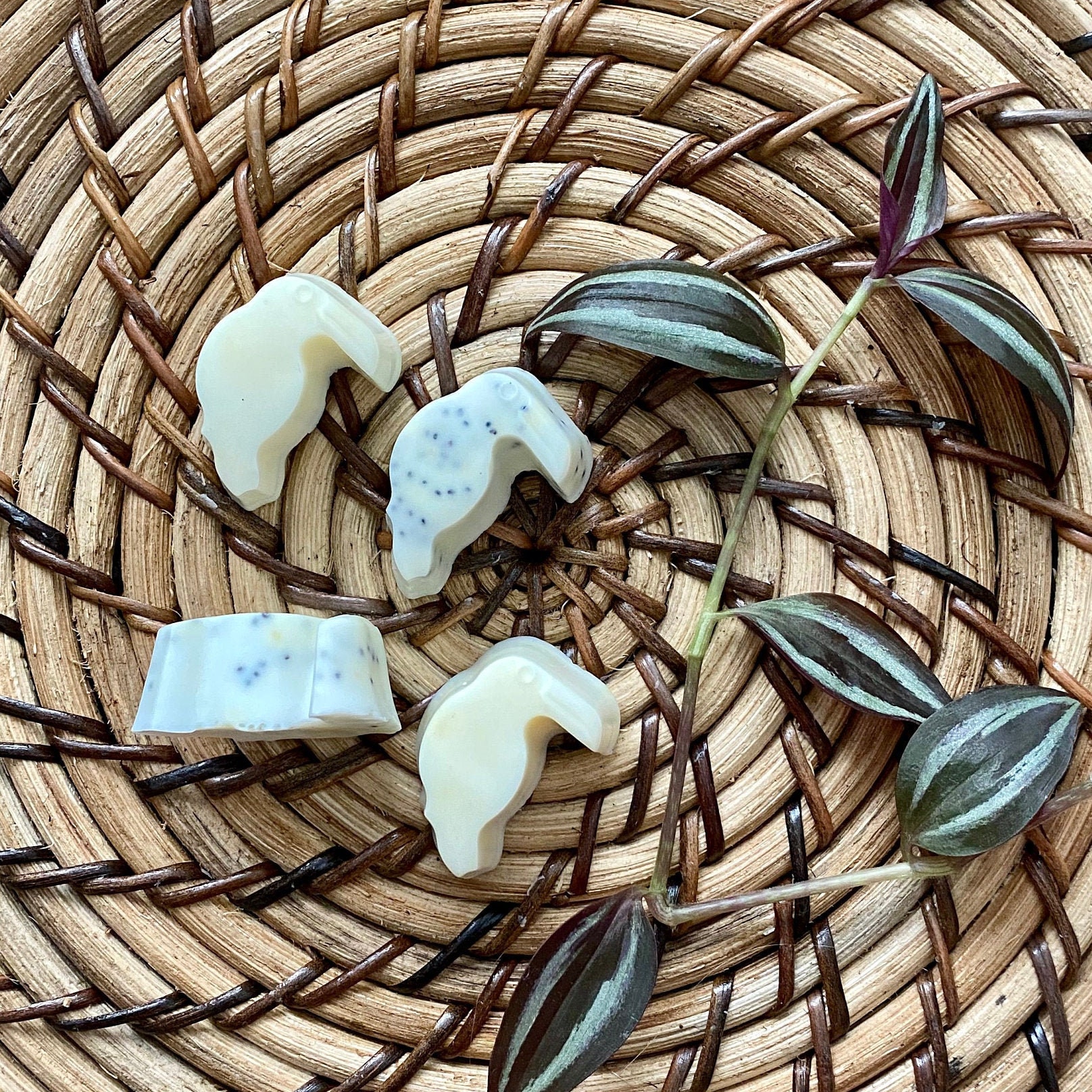 Mini Toucan Soap Set of 3 - Etsy