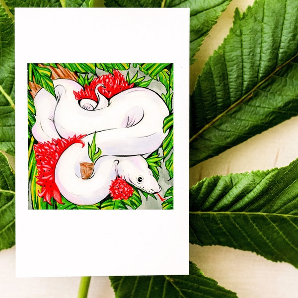 Albino Snake - Etsy