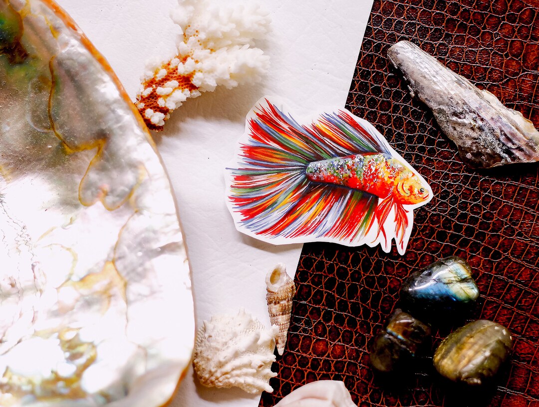 Betta Fish Sticker Die Cut Vinyl Sticker Waterproof Laptop Sticker ...